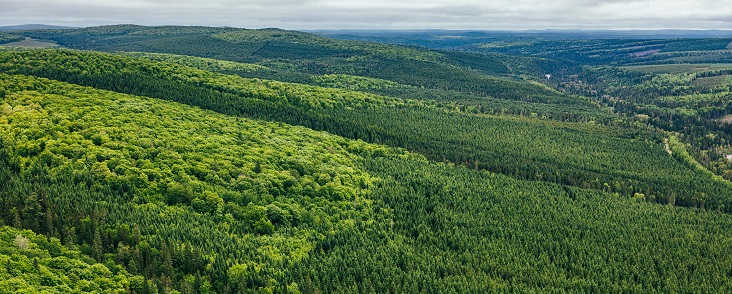 Irving Woodlands | J.D. Irving, Limited - Woodlands Division: Forests ...