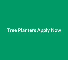 Tree Planters - Careers | J.D. Irving, Limited - Woodlands Division ...