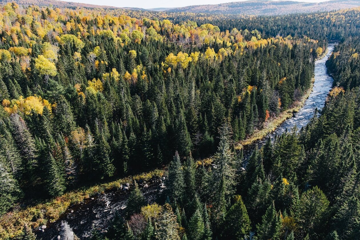 Report Cards - Healthy Forests | J.D. Irving, Limited - Woodlands ...