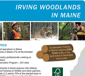 Report Cards - Healthy Forests | J.D. Irving, Limited - Woodlands ...