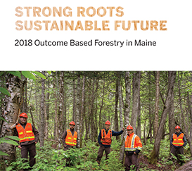 Report Cards - Healthy Forests | J.D. Irving, Limited - Woodlands ...