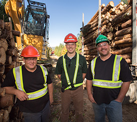 Management Plan | J.D. Irving, Limited - Woodlands Division: Crown ...