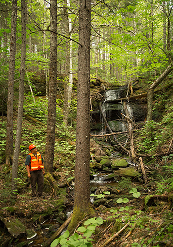 Stories | J.D. Irving, Limited - Woodlands Division: Economic ...