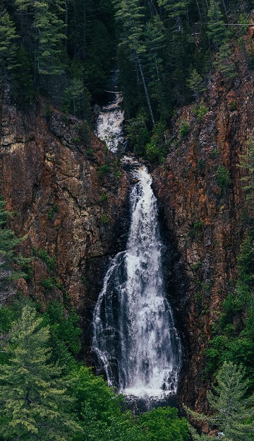 Irving Woodlands | J.D. Irving, Limited - Woodlands Division: Forests ...